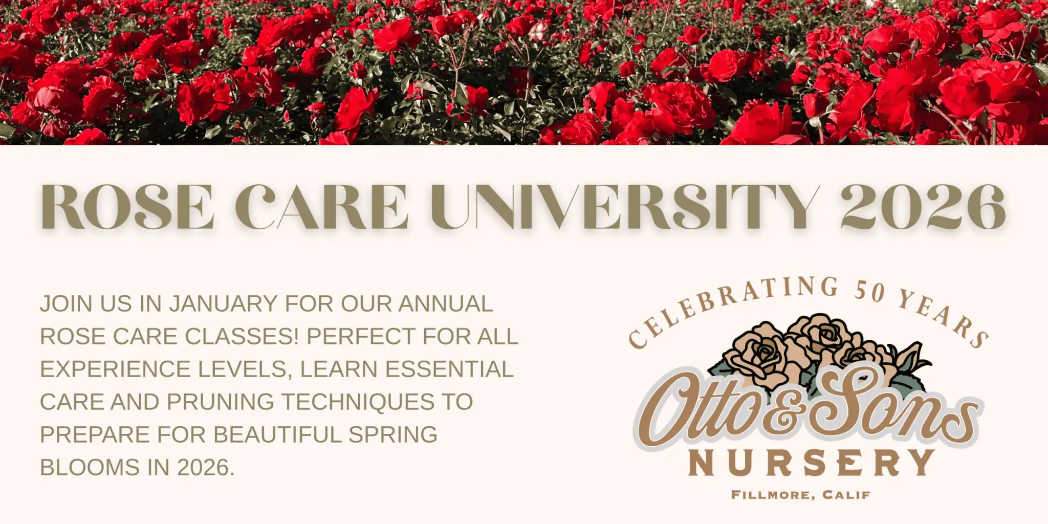 Rose Care University 2026 - Otto & Sons Nursery